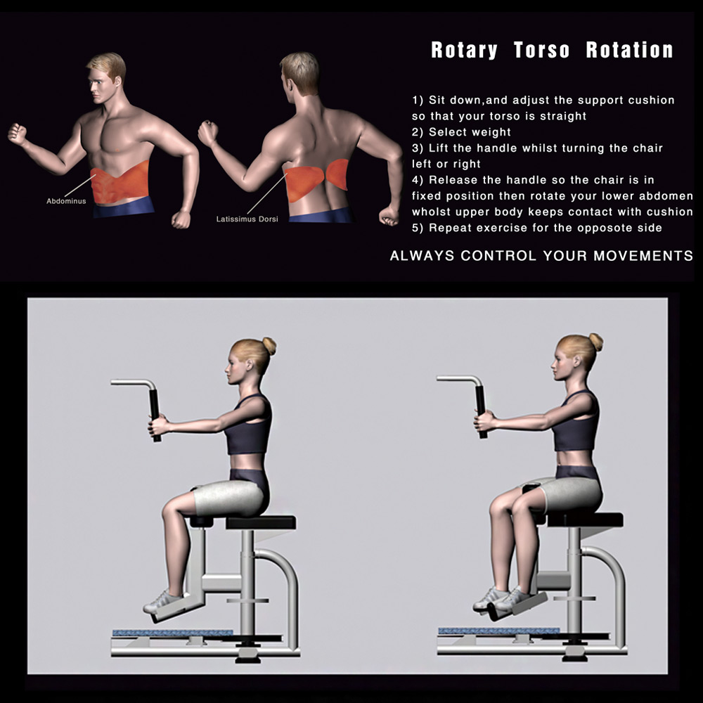 Máy xoay eo (Rotary Torso Rotation) RLD M7 - 2006 - Máy tập gym